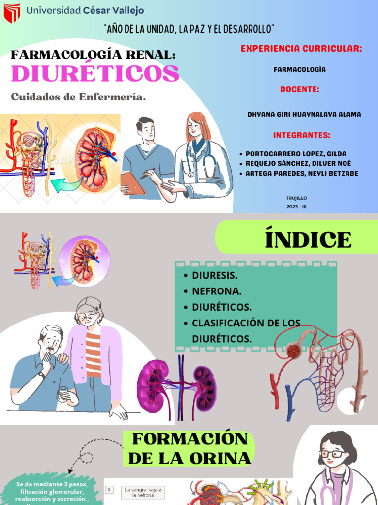 Clasificación y Mecanismos de Diuréticos | PDF | Especialidades Medicas ...