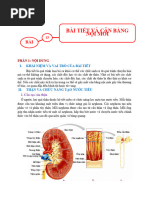 PHẦN II CÂU HỎI ĐÚNG SAI DINH DƯỠNG TIÊU HÓA Ở ĐỘNG VẬT-1724230083 | PDF