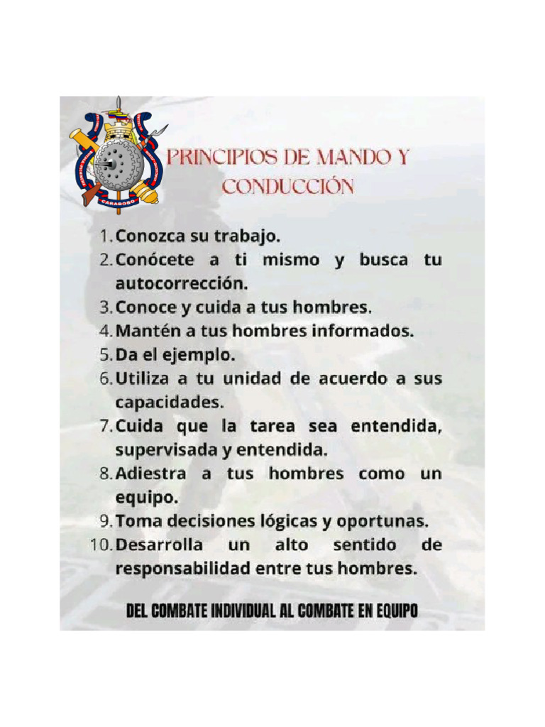 Principios de Mando y Conduccion | PDF
