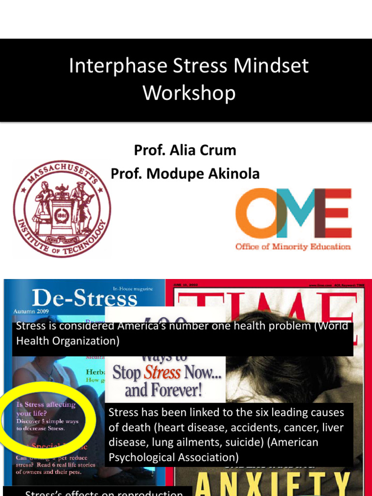 Mit Presentation Stressmindset 7.27.15 | PDF