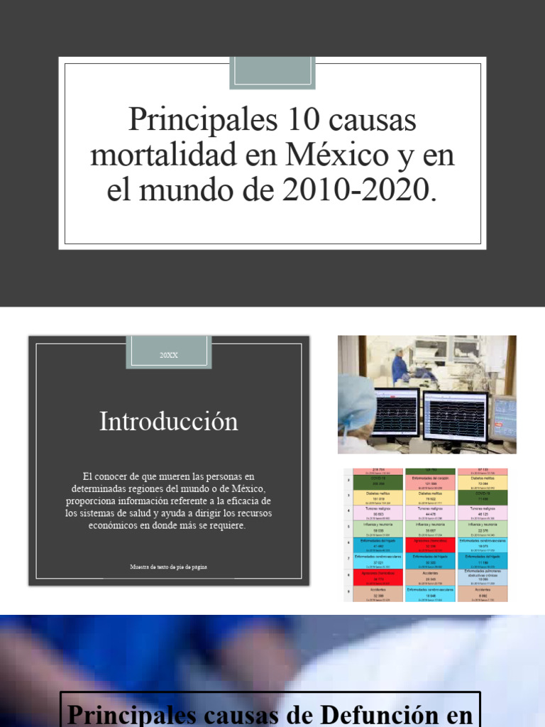 Principales 10 Causas Mortalidad en México | PDF | Muerte | Ciencia forense