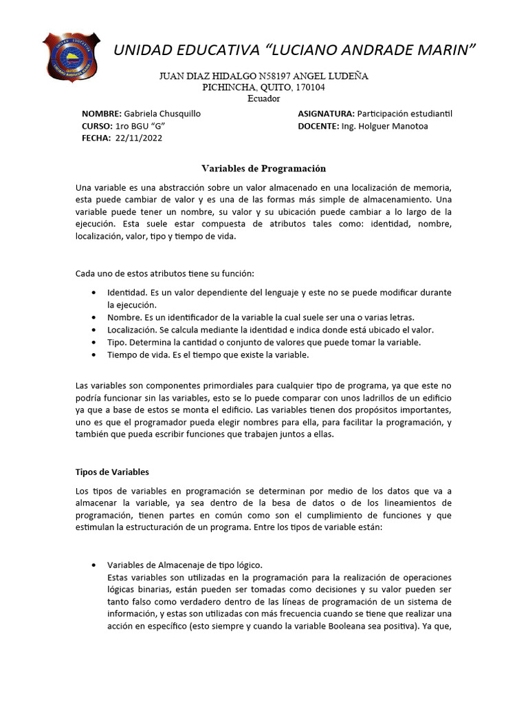 Variables De Programación Pdf 8523