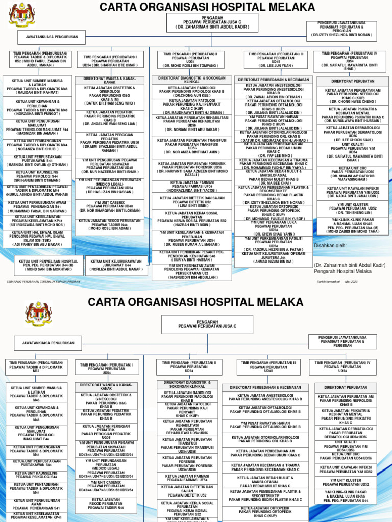 Carta Organisasi Hospital Melaka - Pindaan 23 Mei 2023 1 | PDF