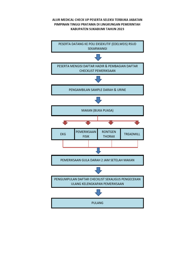 Alur Pemeriksaan Mcu | PDF