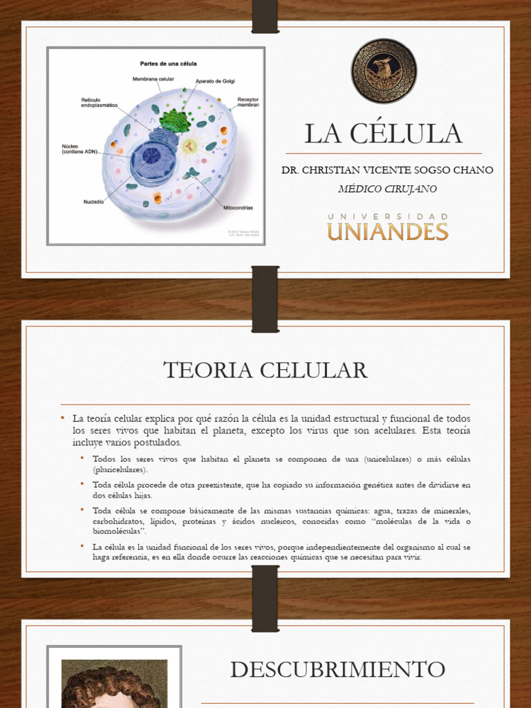 La Celula, Teoria Celular, Tipos y Virus Dr. Christian Sogso | PDF ...