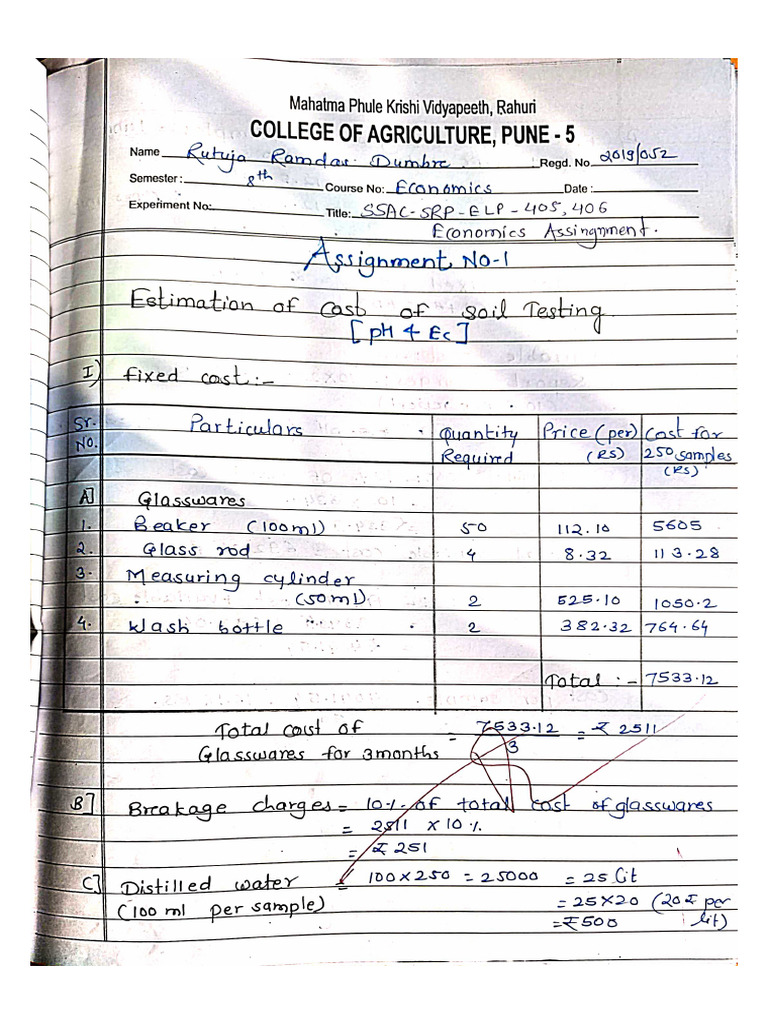 Economics Minor Assignment | PDF