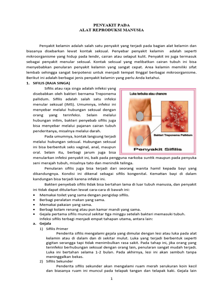 Penyakit Pada Alat Reproduksi Manusia | PDF | Pengembangan Diri | Kesehatan Holistik