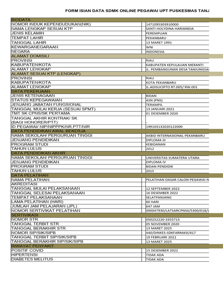Form SDMK 2023 | PDF