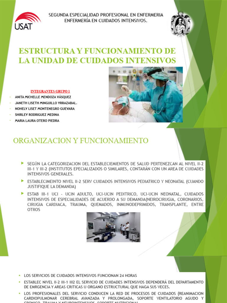 TRABAJO ESTRUCTURA Y FUNCIONAMIENTO 1er Trabajo Esp. Cuidados Intensivos | PDF | Medicina de ...