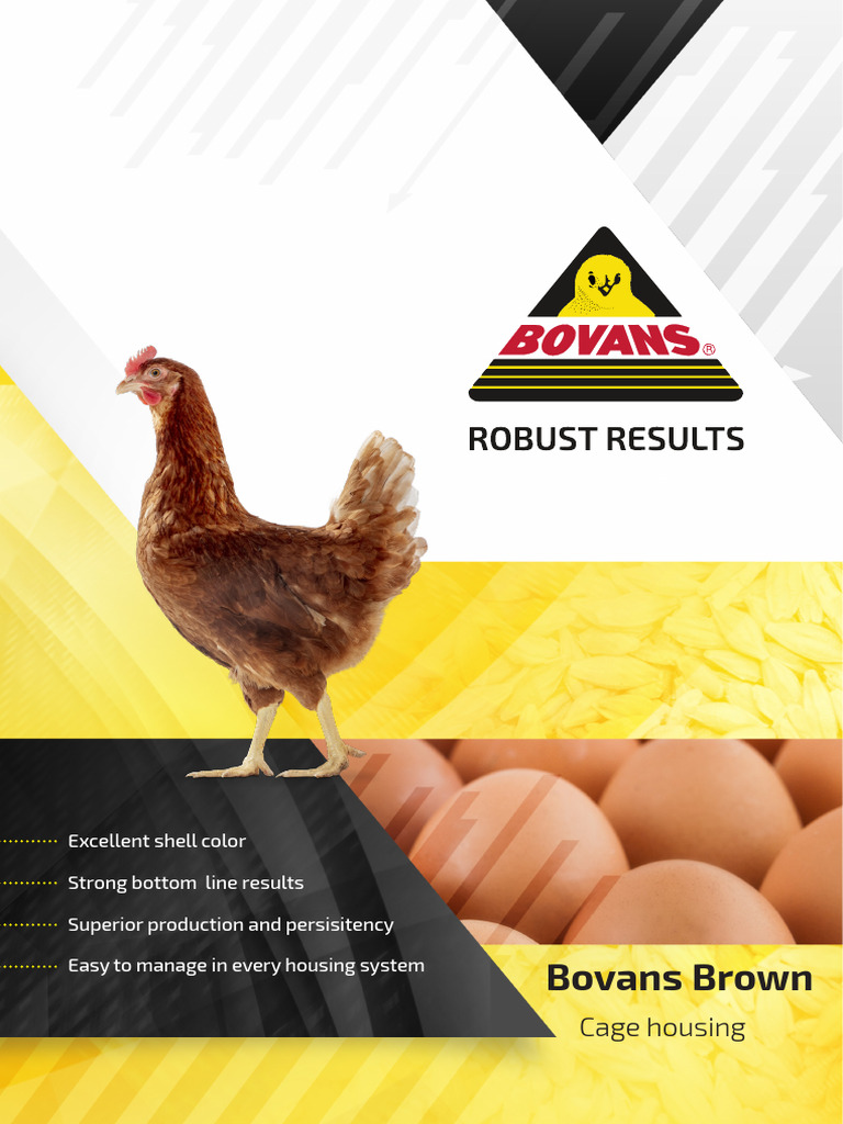 Bovans Brown CS Product Leaflet Cage L1211-1 | PDF | Ornithology | Birds