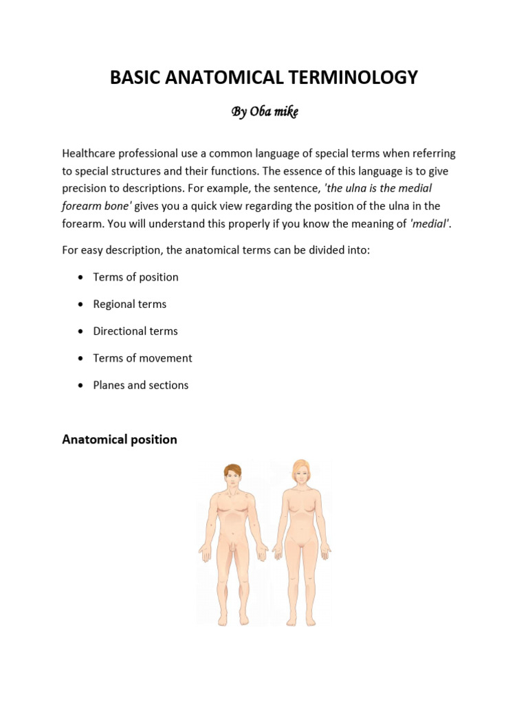 Basic Anatomical Terms | PDF | Anatomical Terms Of Motion | Anatomical ...