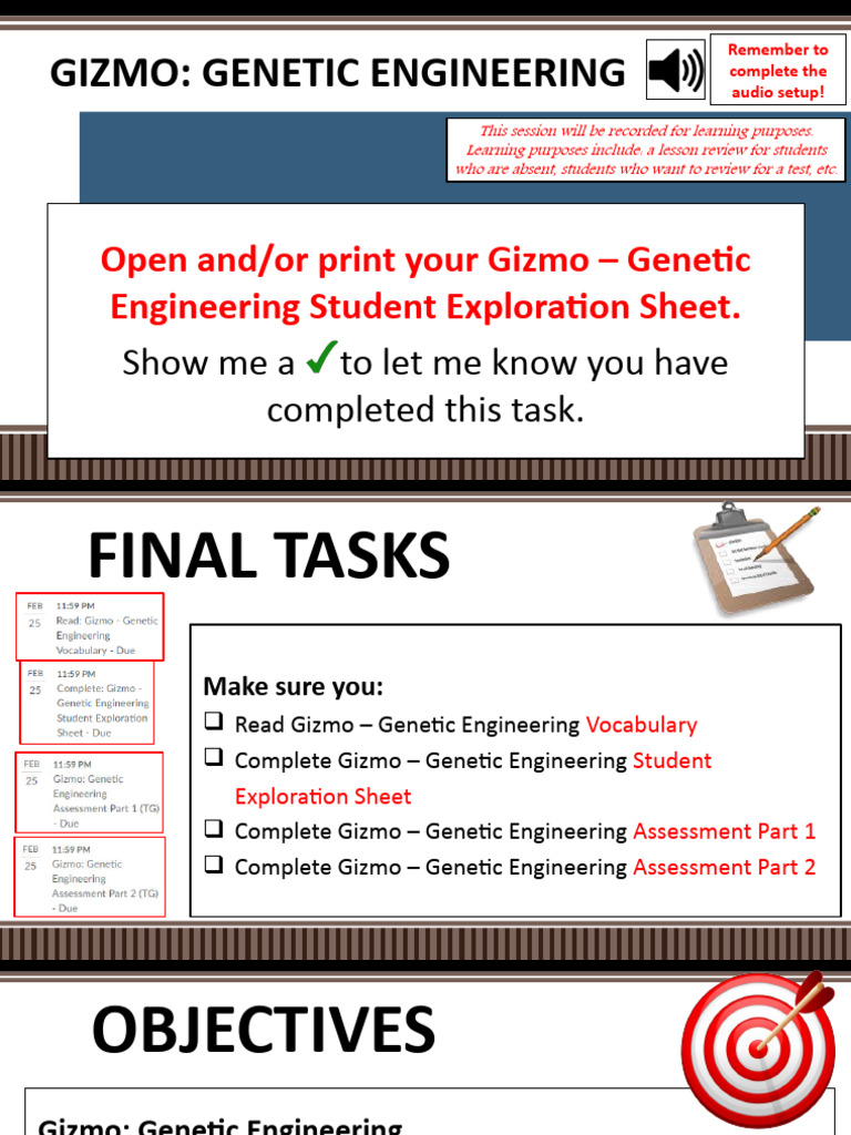 Gizmo Genetic Engineering | PDF | Games & Activities
