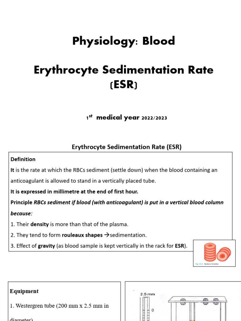 Blood Erythro Sedimentation | PDF