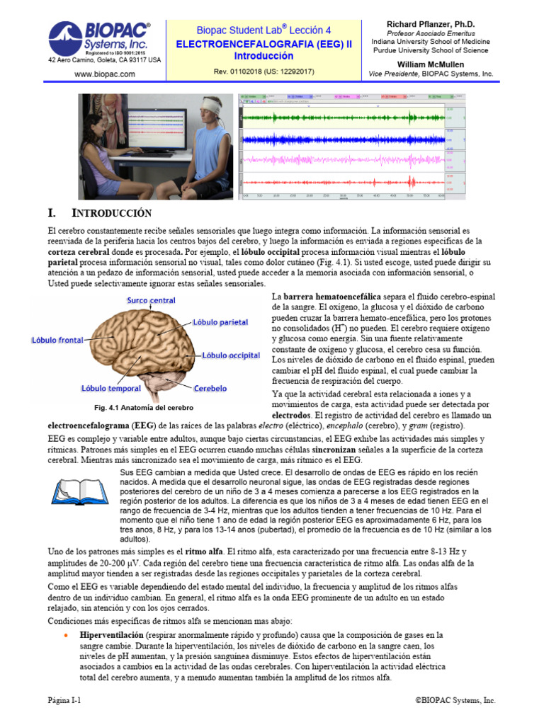L04 Introduction-Es | PDF