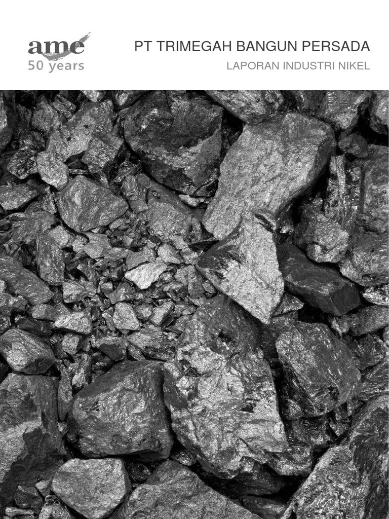 Harita Nickel Tbp Flow Bisnis Nickel Pdf