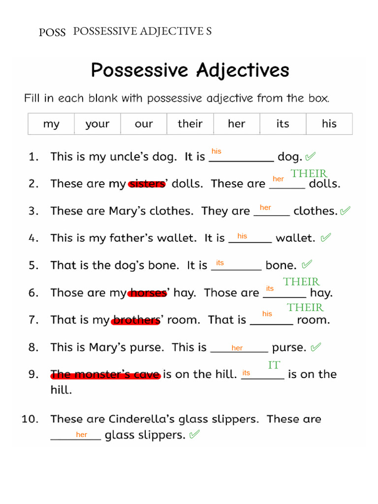 Possessive Adjectives - Exercise 1 - CORRECTED | PDF