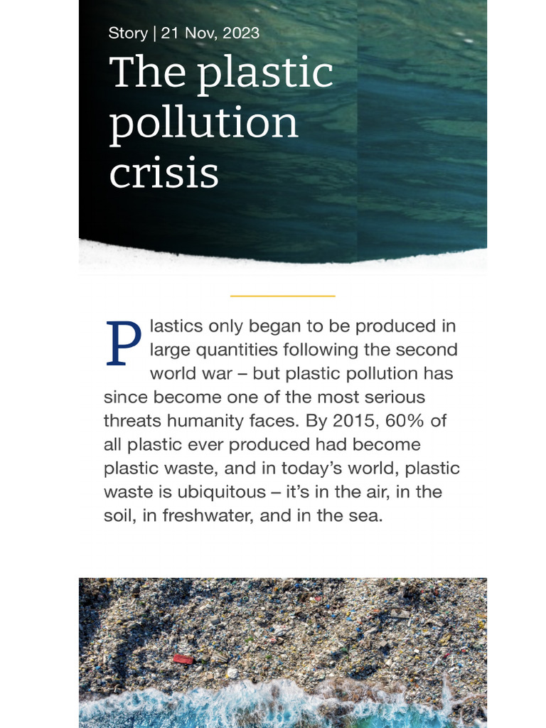 Article the Plastic Pollution Crisis | PDF | Sewage | Pollution
