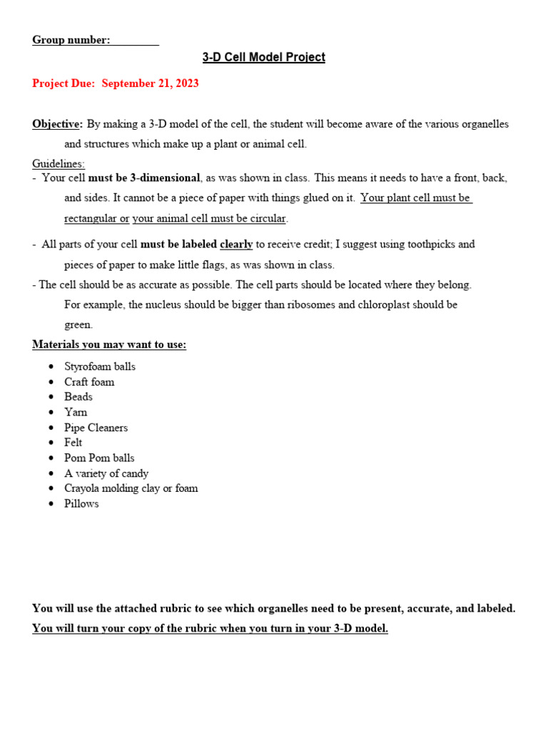 3-D Cell Model Project and Rubric | PDF