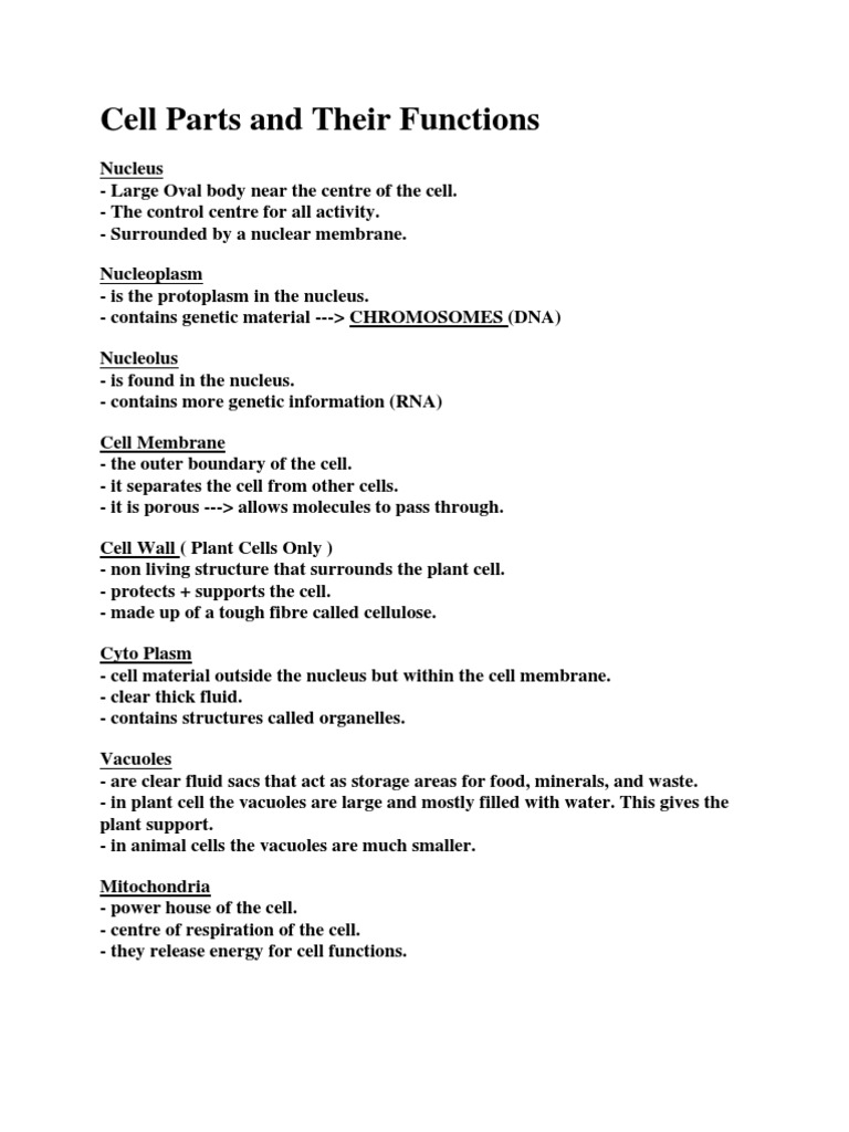 Parts Of A Cell And Their Functions Worksheet Plant Cells Worksheets