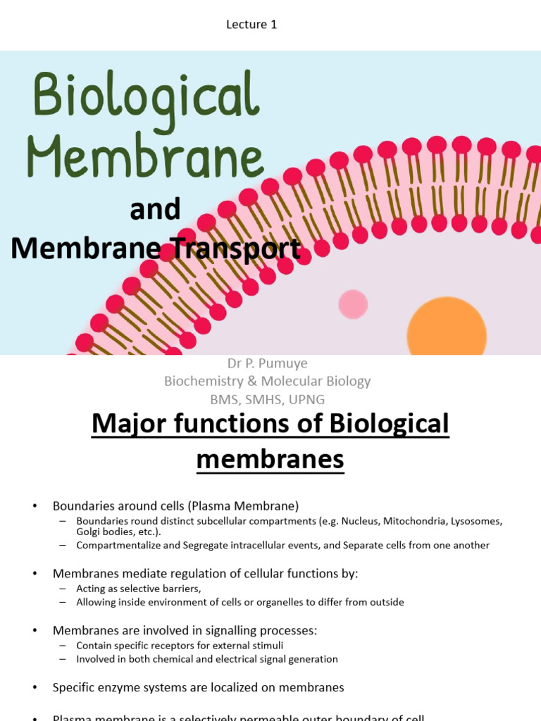 5 Biological Membranes | PDF