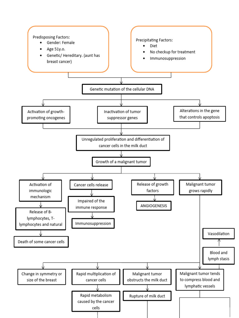 Patho Breast Cancer | PDF | Cancer | Neoplasms