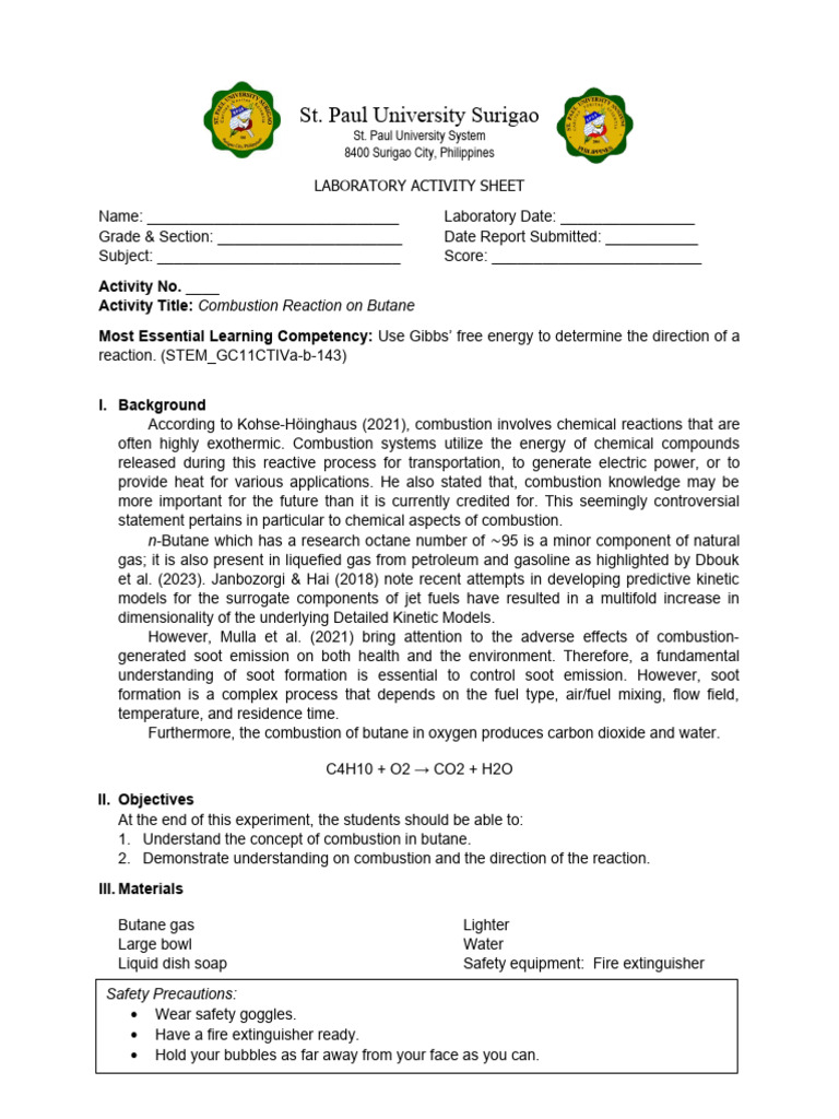 Butane Combustion Lab Activity Guide | PDF