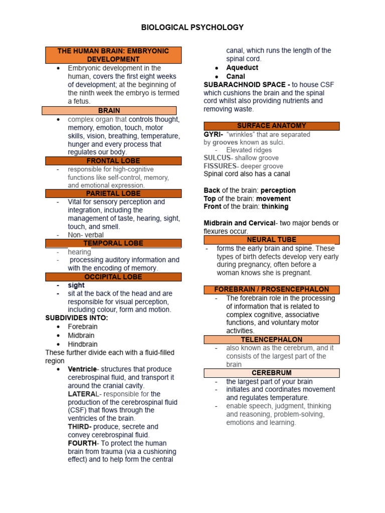 Biological Psychology (BRAIN AND ITS DISEASES) | PDF | Neuron | Nervous ...