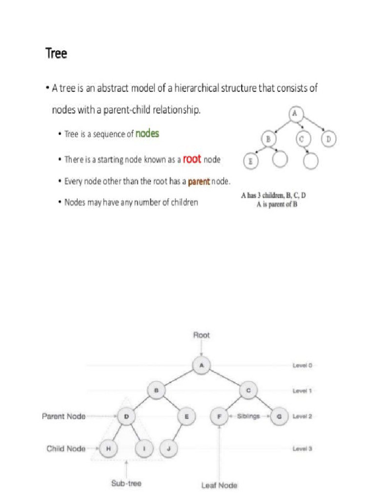 Types of Trees | PDF | Theoretical Computer Science | Computer Data
