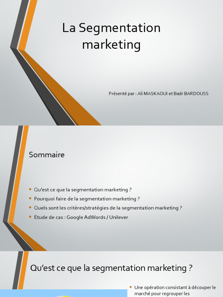 La Segmentation Marketing | PDF | Commercialisation | Segmentation (marketing)