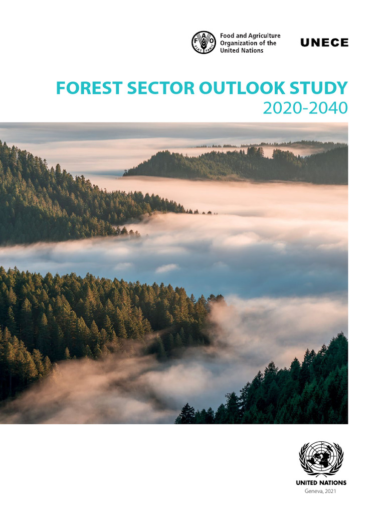 Fao 2021 Forest Sector Outlook Study | PDF | Climate Change Mitigation ...