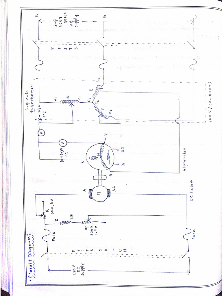 Anuska Lab Record | PDF