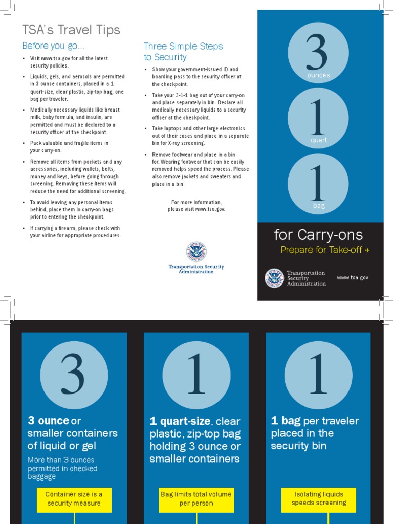 TSA Carry-On Travel Tips Guide | PDF