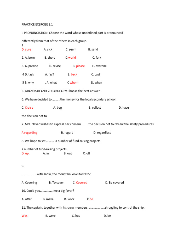 Pronunciation and Grammar Practice Exercise | PDF