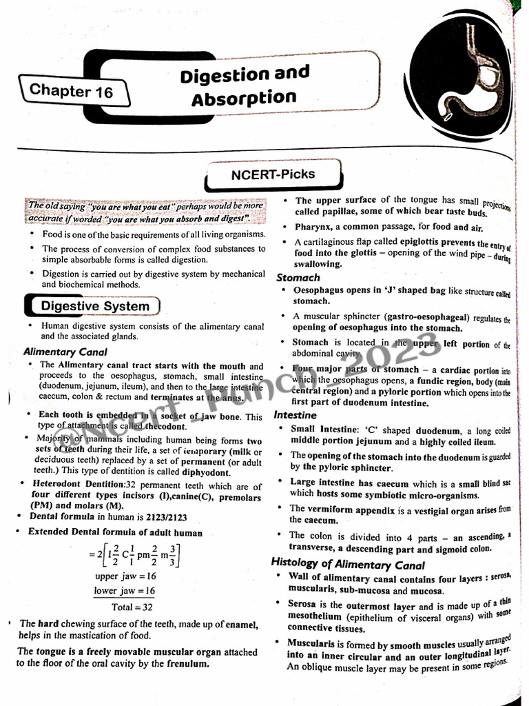 Pw Ncert Punch Biology Pdf