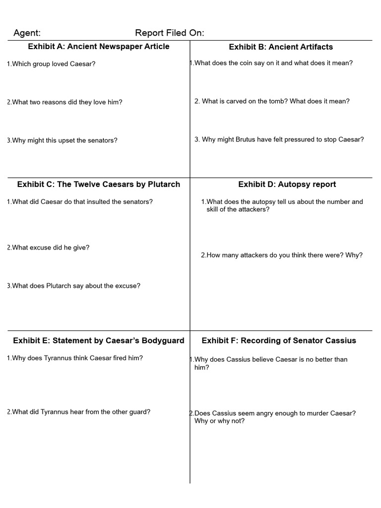 Investigator Report Caesar | PDF