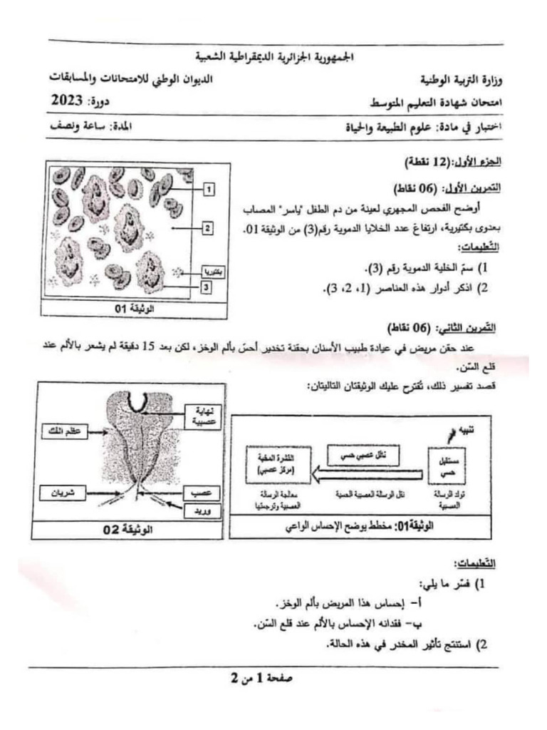 Bem Science 2023 - 1 | PDF