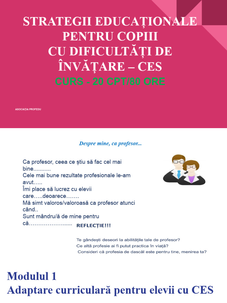 Strategii Educaționale Pentru Copiii Cu Dificultăți de Învățare - Ces | PDF