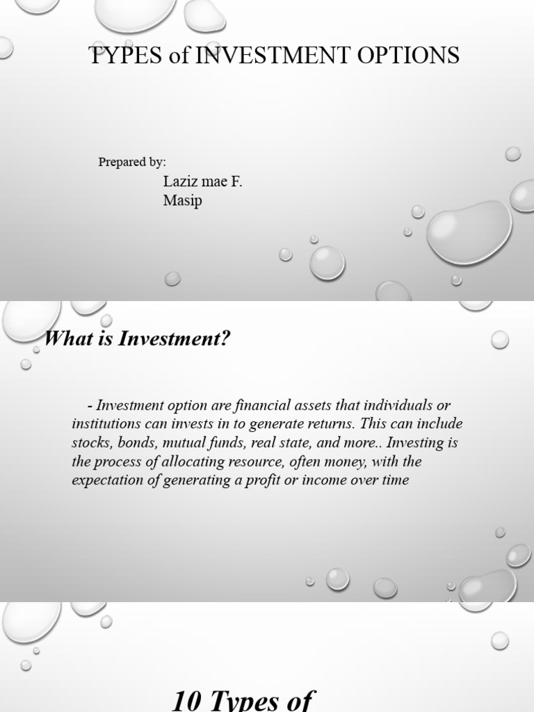 10 Investment Options Explained | PDF