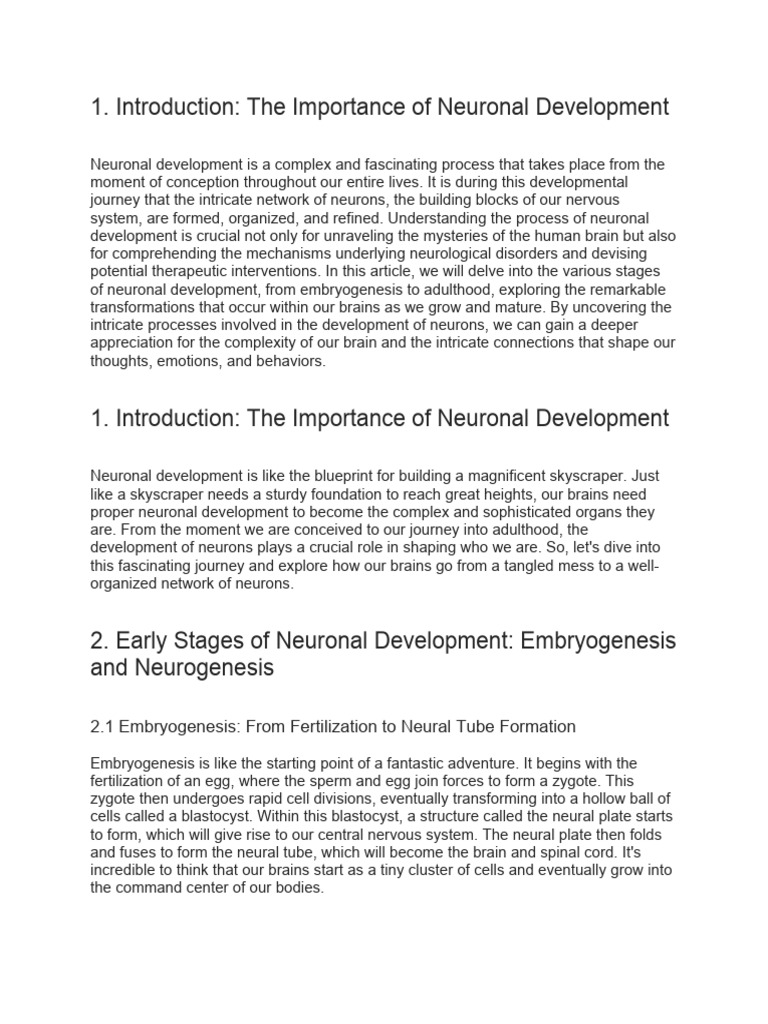 Development of Neurons From Birth To Adulthood | PDF | Neuron | Brain