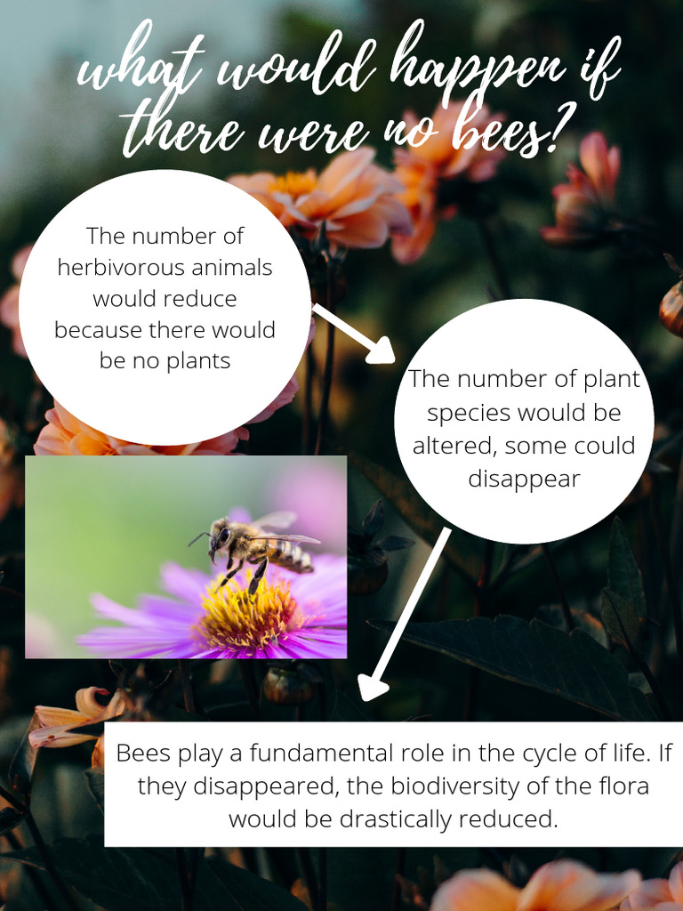What Would Happen If There Were No Bees | PDF