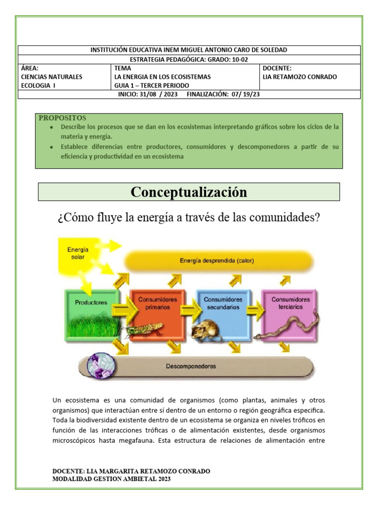Guia 1 Ecologia 3p | PDF | Red alimentaria | Suelo