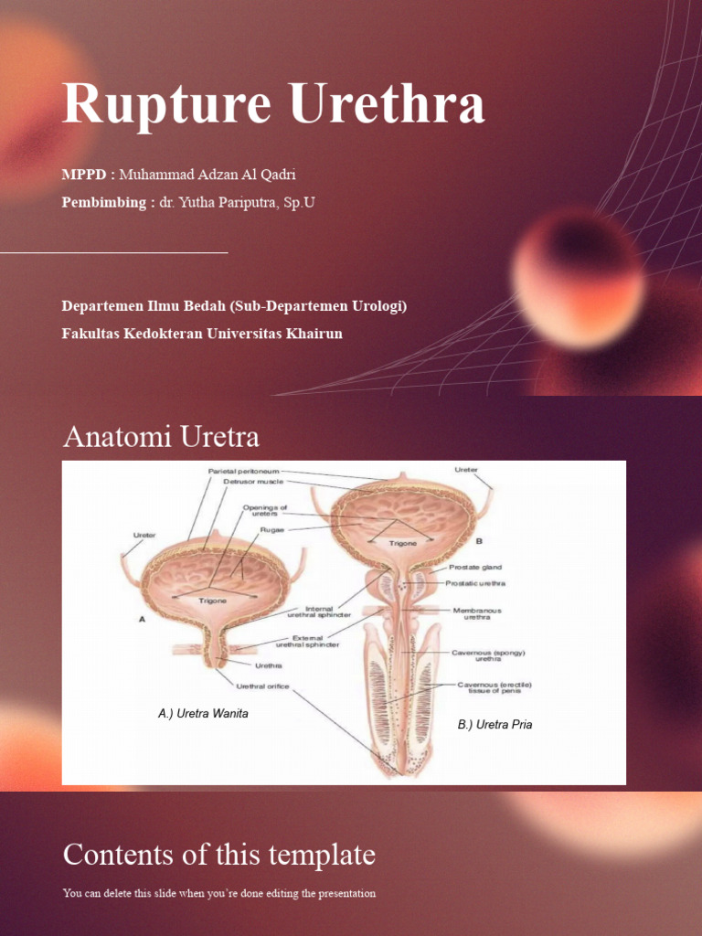 Rupture Urethra | PDF