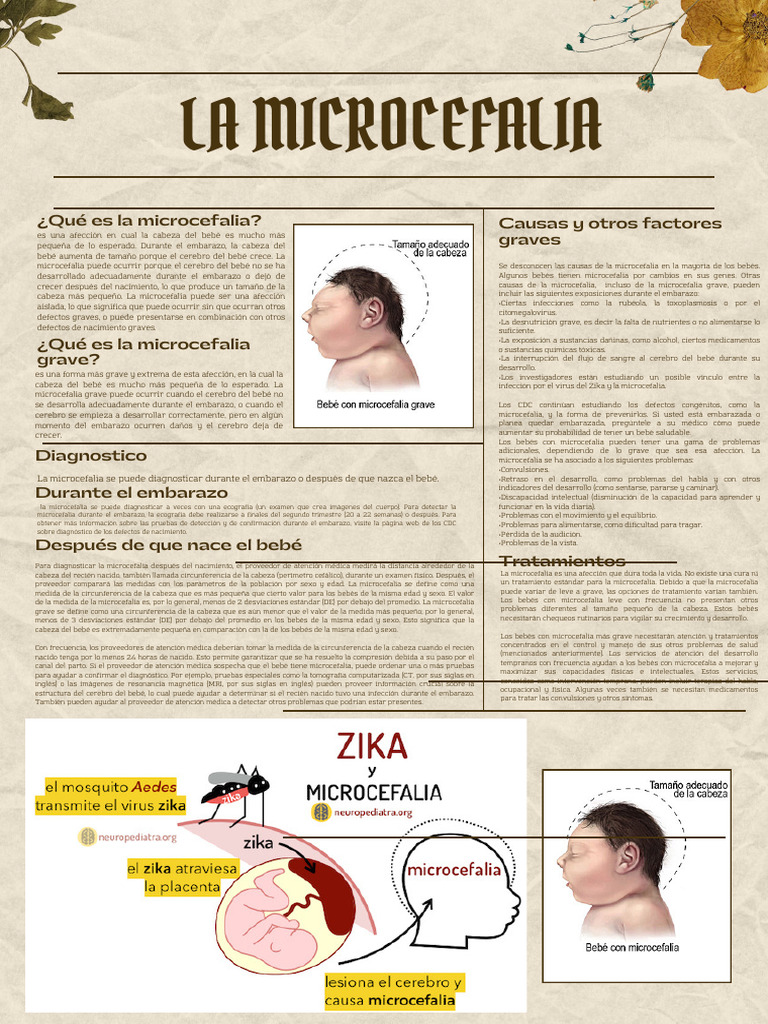 La Microcefalia: ¿Qué Es La Microcefalia? Causas y Otros Factores Graves | PDF | El embarazo ...