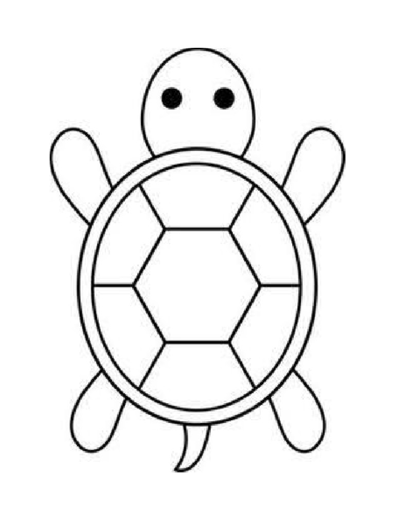 Turtle | PDF