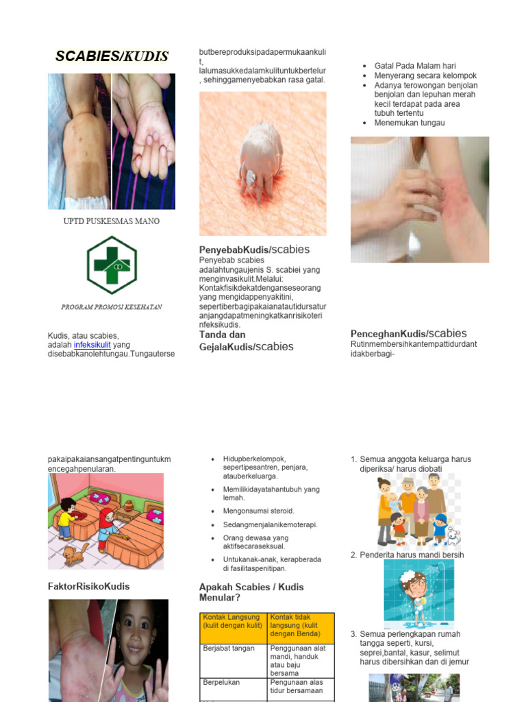 Liflead SCABIES | PDF