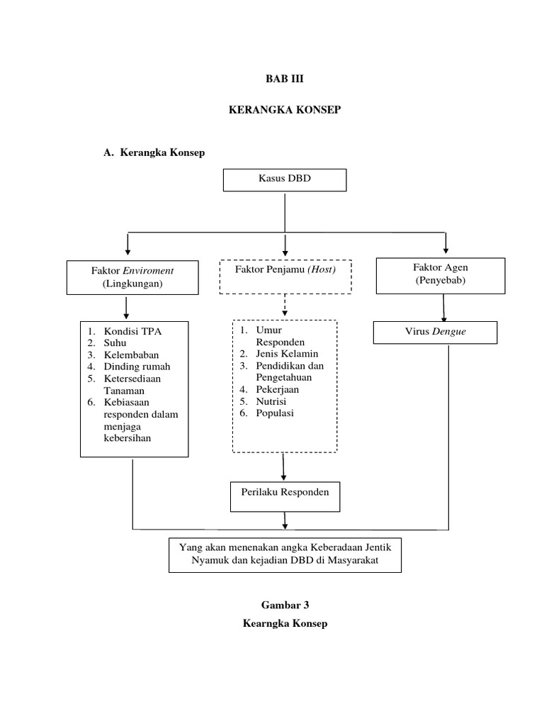 BAB III Kerangka Konsep | PDF