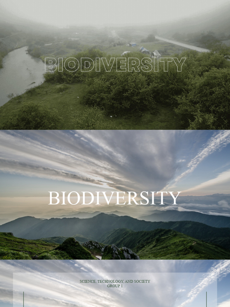 G1 STS Reporting PPT (Biodiversity) | PDF | Biodiversity | Ecosystem