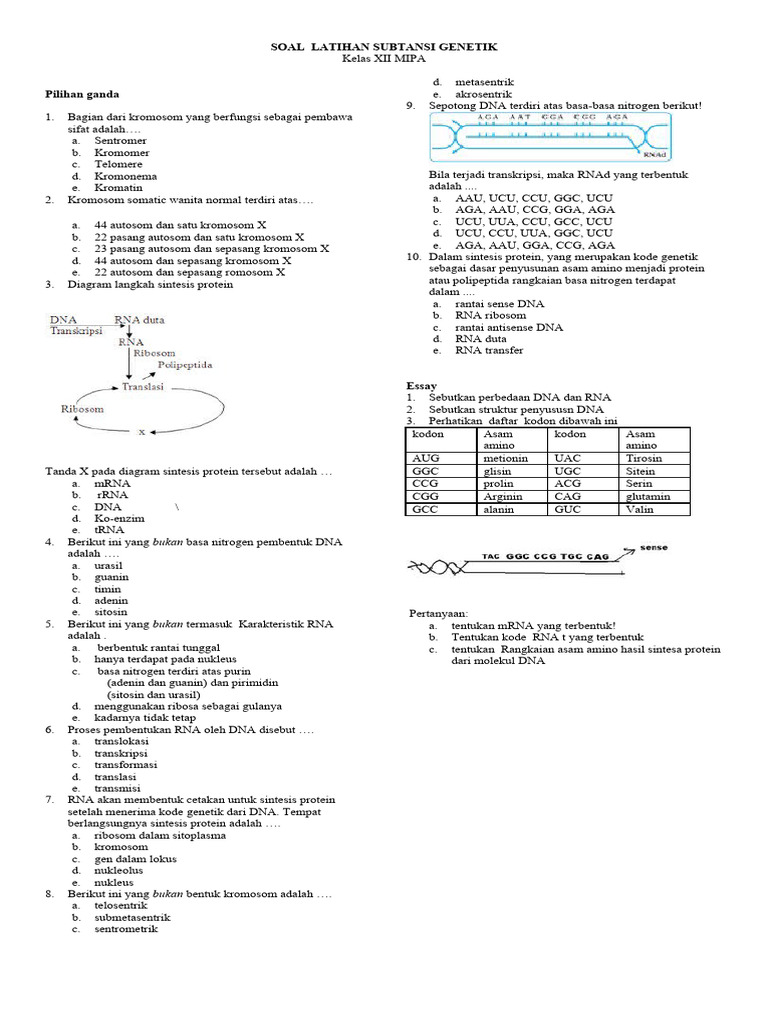 Soal Latihan Subtansi Genetik | PDF
