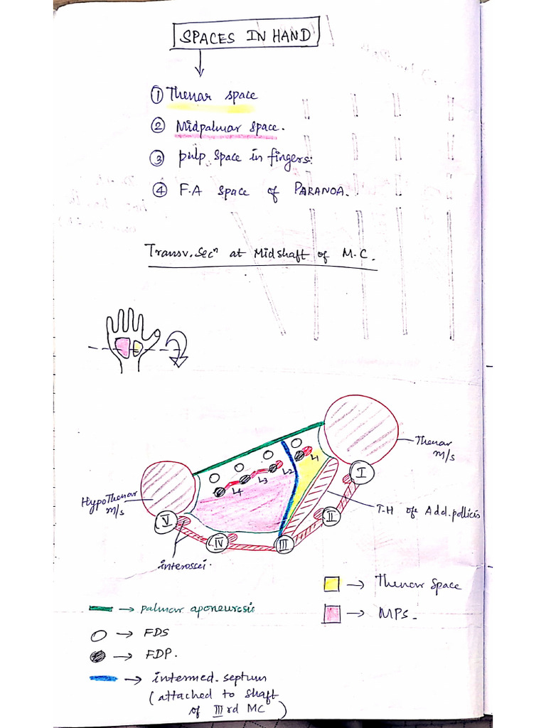 Spaces of Hand | PDF