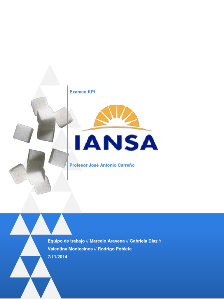 Análisis Estratégico de IANSA Chile | PDF | Negocios